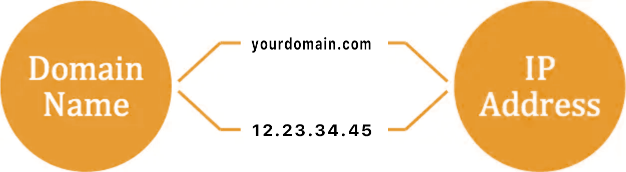 Domains & DNS - Intricate Networks
